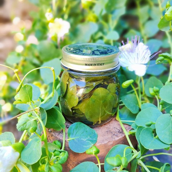 Foglie di cappero sott'aceto - Al.Ta Cucina | _paola_catalano