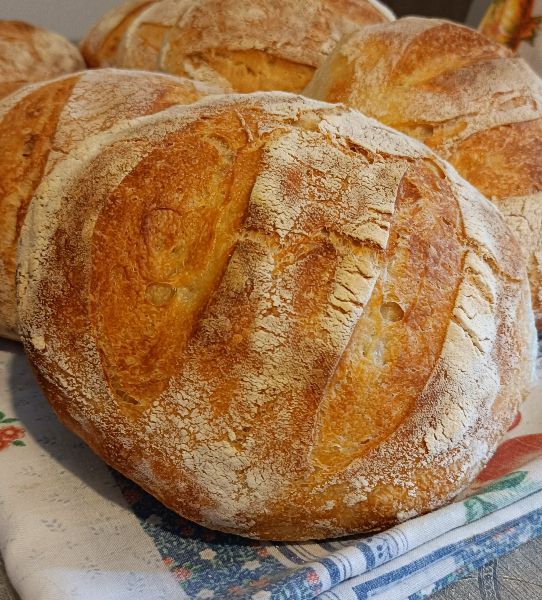Pane casereccio fatto in casa | Al.ta Cucina