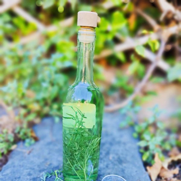 Grappa aromatizzata alla ruta | Al.ta Cucina