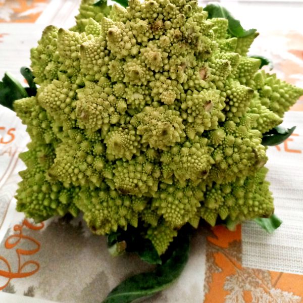 Fussili con cavolfiore verde | Al.ta Cucina